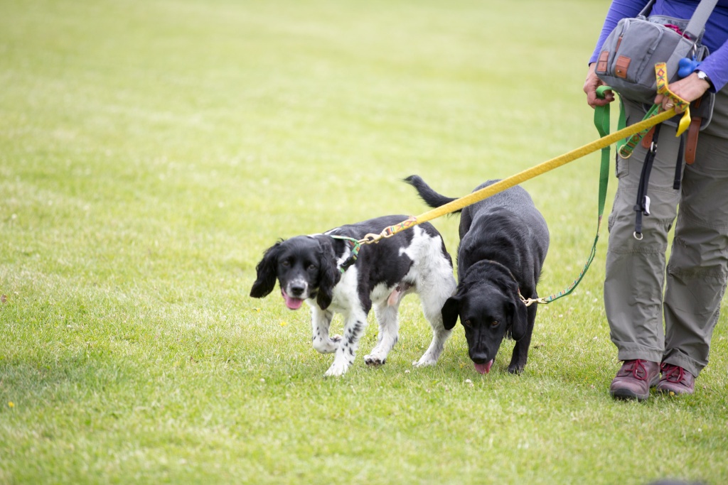 Stepping Out at Stonham Barns Park! - Stonham Barns